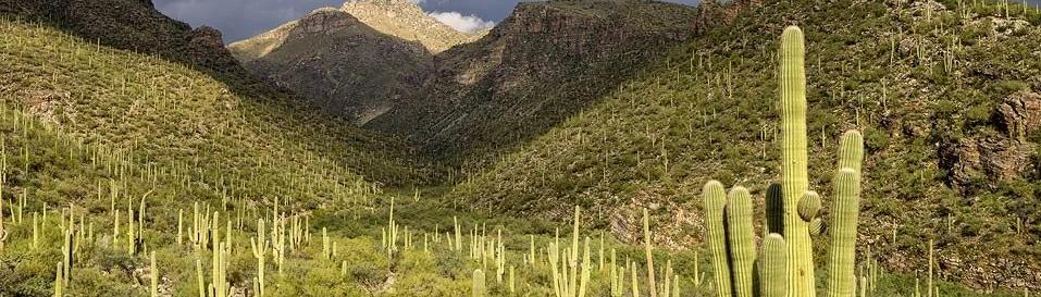 Pima NRCD | Natural Resource Conservation Board