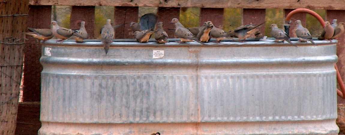 Pima NRCD | Natural Resource Conservation Board